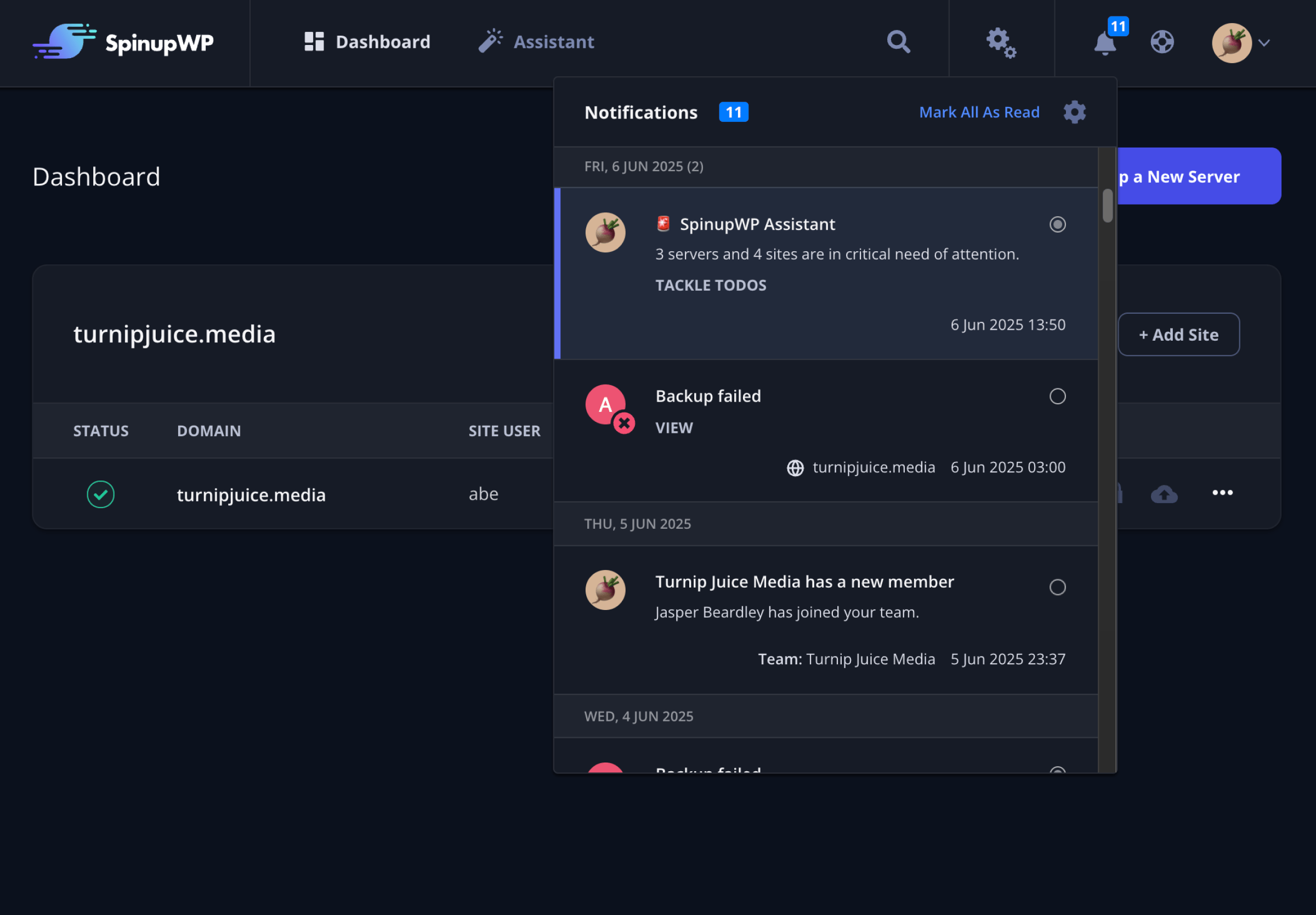 Introducing the SpinupWP Assistant - SpinupWP